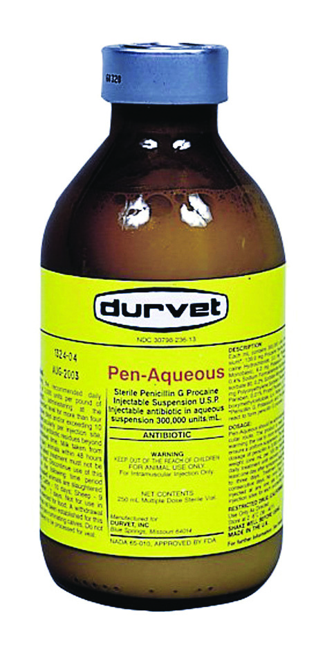 Discount pet supplies and pet products for dogs, cats, birds, fish ...