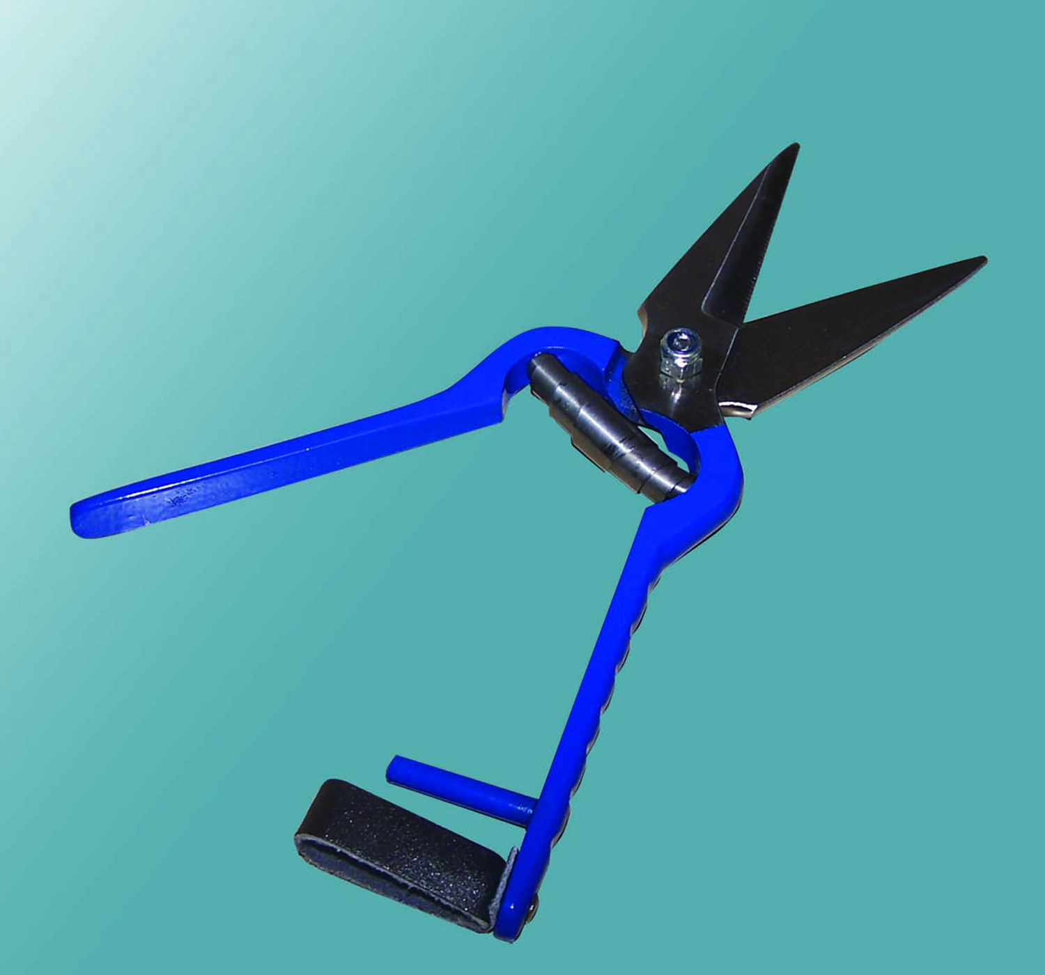 Discount pet supplies and pet products for dogs, cats, birds, fish ...